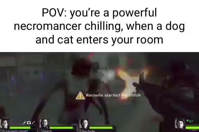 POV: you're powerful necromancer chilling, when a dog and cat enters ...