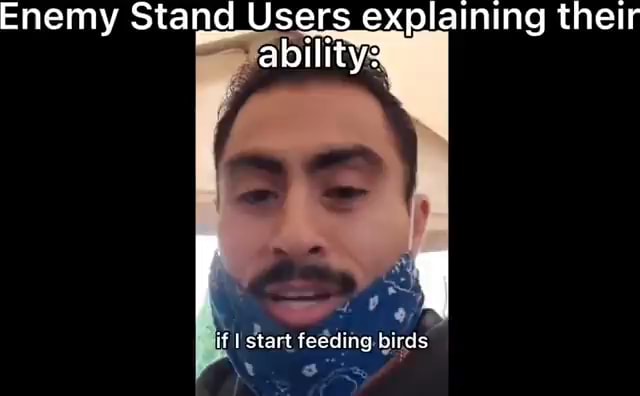 Enemy Stand Users Explaining Their Ability If Istart Feeding Birds
