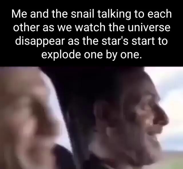 Me and the snail talking to each other as we watch the universe ...