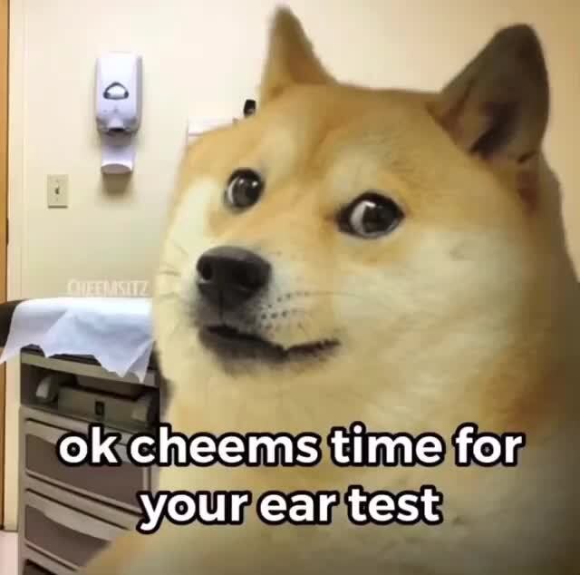 Ok cheems time for your ear test - iFunny