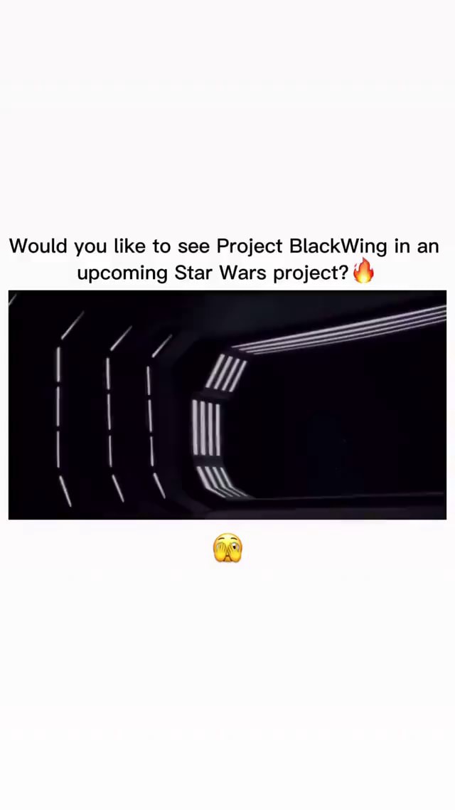 Would you like to see Project BlackWing in an upcoming Star Wars project? WW - America’s best ...
