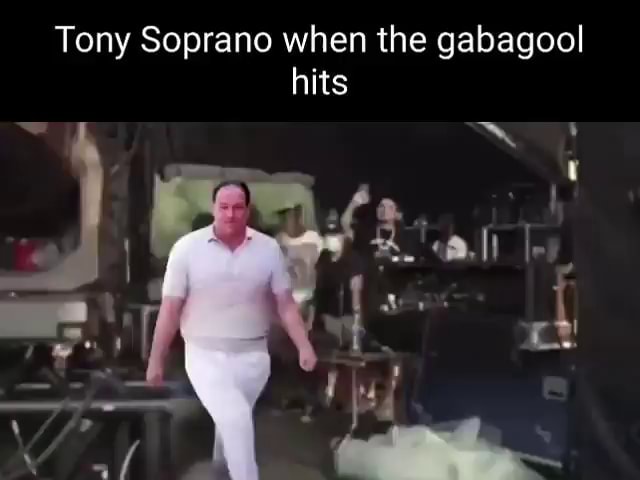 Tony Soprano when the gabagool hits - iFunny