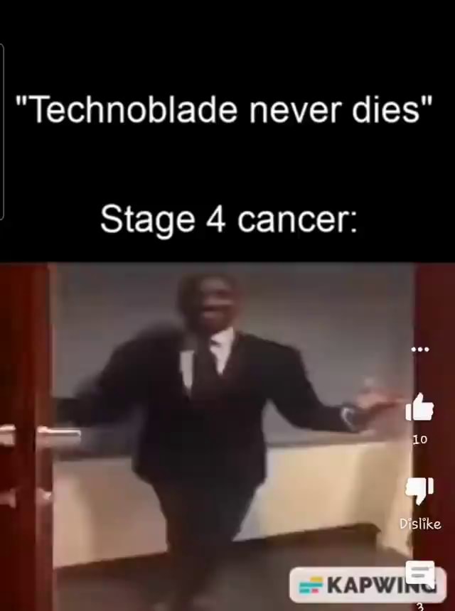 "Technoblade never dies" Stage 4 cancer: - iFunny