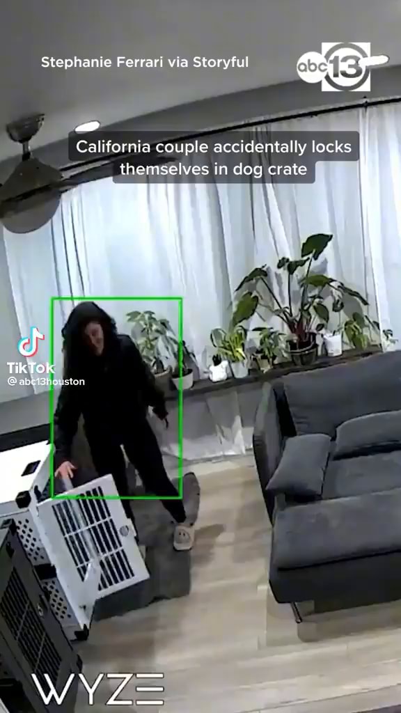 Stephanie Ferrari via Storyful California couple accidentally locks themselves in dog crate WYZ ...