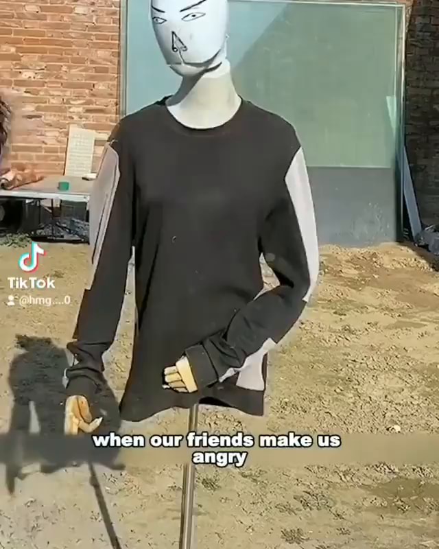 TikTok when our friends make us angry - iFunny