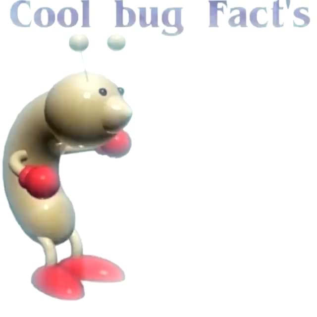 Cool bug Facts - iFunny