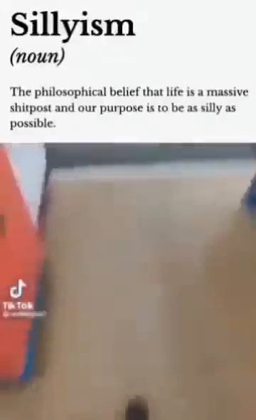 Sillyism (noun) The philosophical belief that life is a massive ...