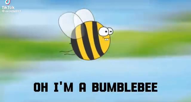 AW OH I'M A BUMBLEBEE - iFunny