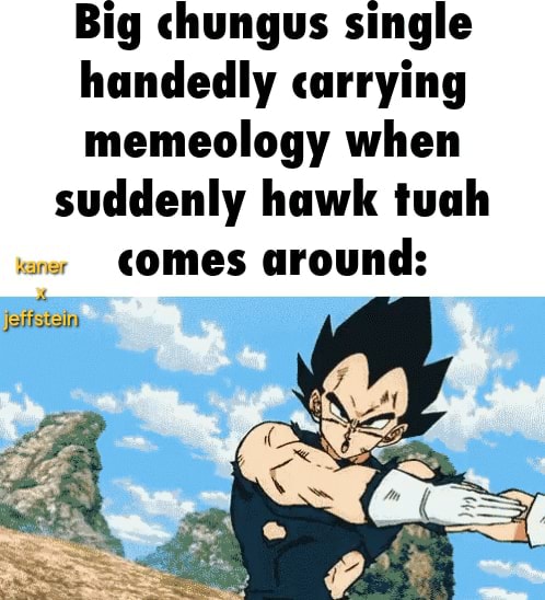 Big chungus single handedly carrying memeology when suddenly hawk tuah ...