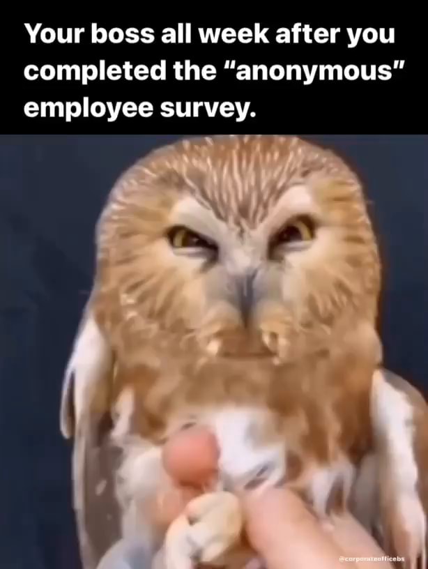 Your boss all week after you completed the "anonymous" employee survey ...