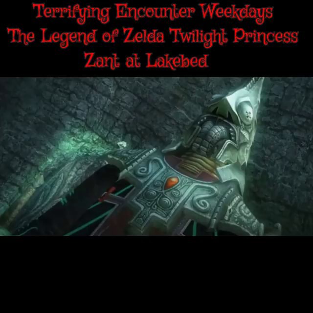 Terrifying Encounter Weekdays The Legend of Zelda Twilight Princess Zar ...