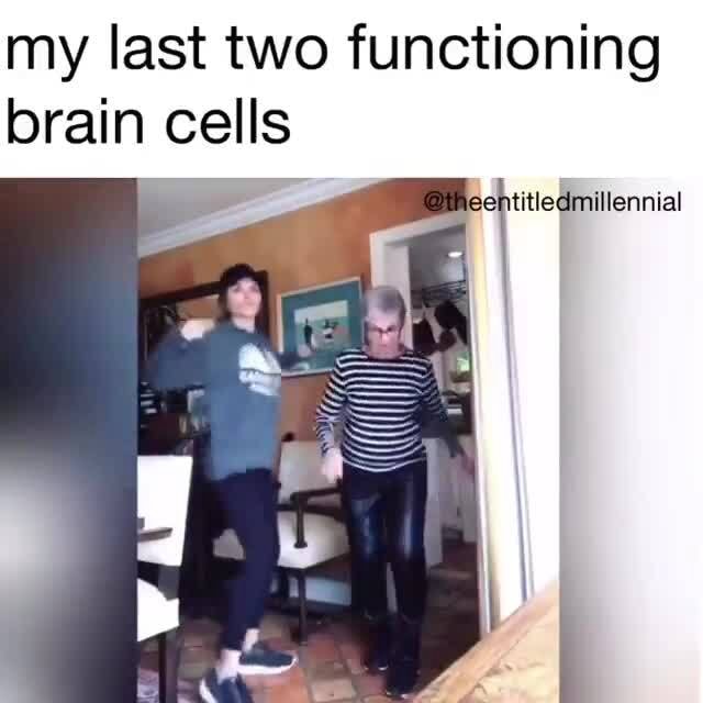 My last two functioning brain cells leentitledmillennial - iFunny