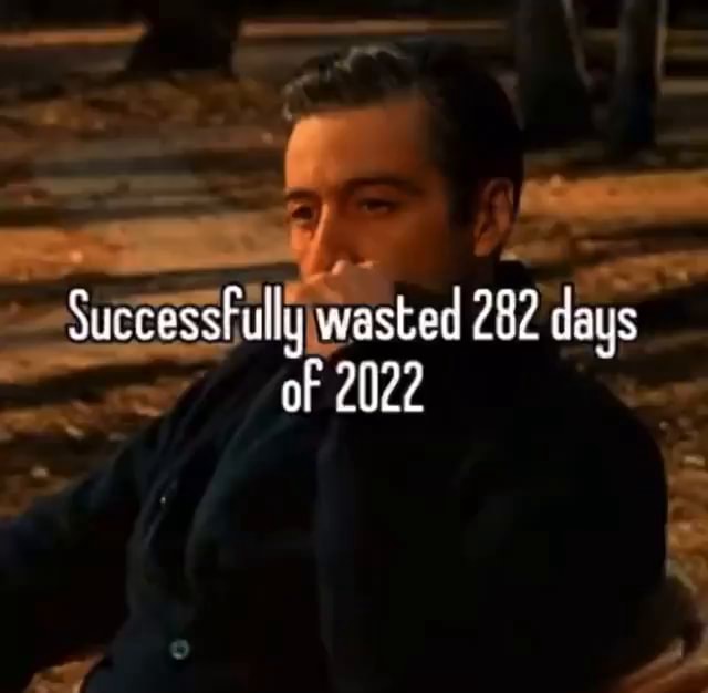 Successfully wasted 282 days or 2022 - iFunny