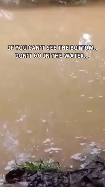 If YOU CAN'T SEE THE BOTTOM. DON'T GOIN THE WATER... - iFunny