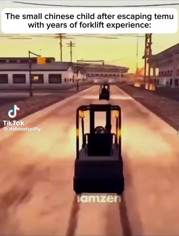 The small chinese child after escaping temu with years of forklift ...