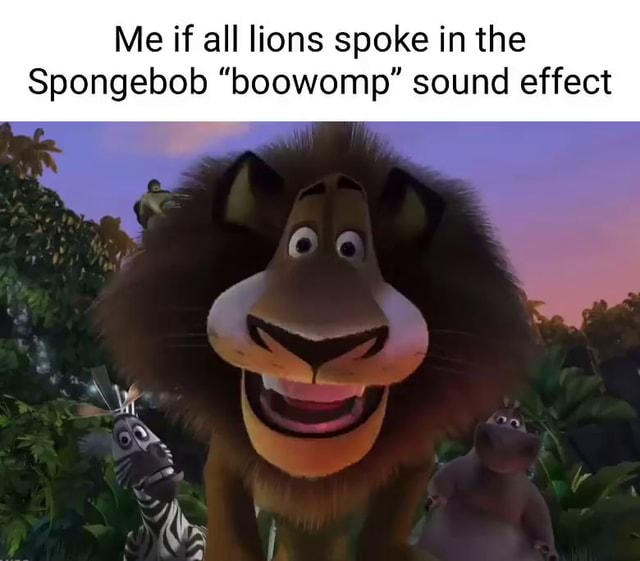 Me if all lions spoke in the Spongebob "boowomp" sound effect - iFunny