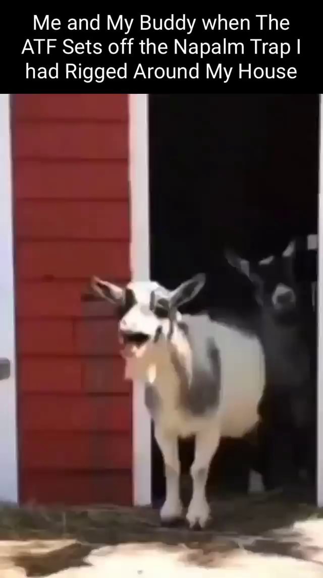 Me and My Buddy when The ATF Sets off the Napalm Trap I had Rigged ...