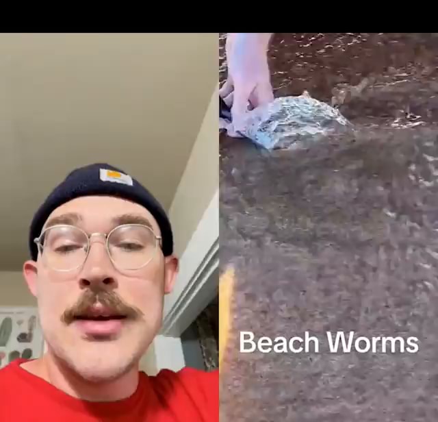Beach Worms - iFunny