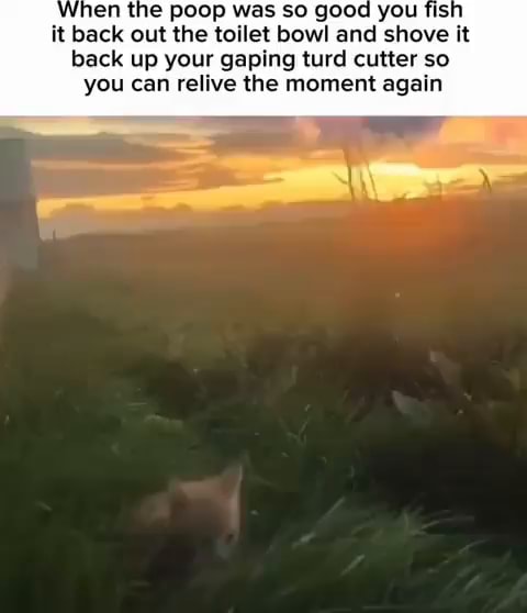 When the poop was so good yt it back out the toilet bowl and shove it ...