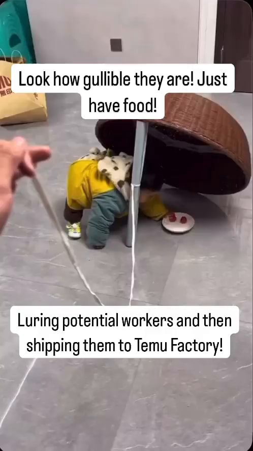 Look how gullible they are! Just have food! Luring potential workers ...