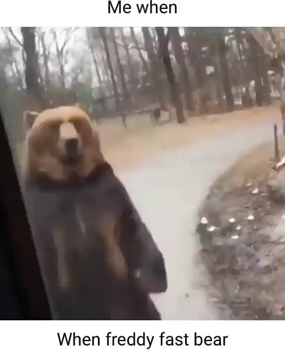 Me when fast bear what - Me when When freddy fast bear - iFunny