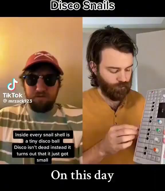 Diseo Snails Inside every snail shell is a tiny disco ball Disco isn't ...