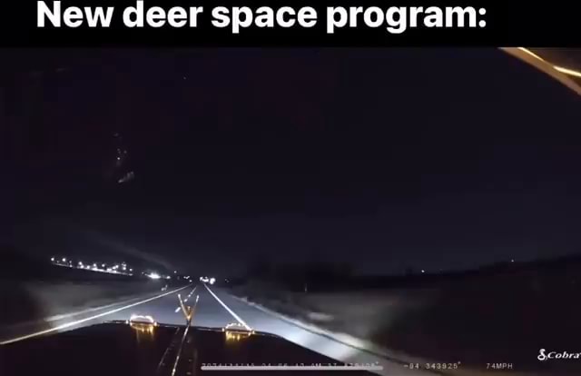 New deer space program: - iFunny