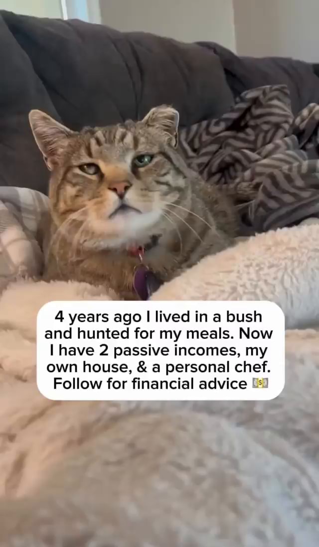 4 years ago I lived in a bush and hunted for my meals. Now I I have 2 ...