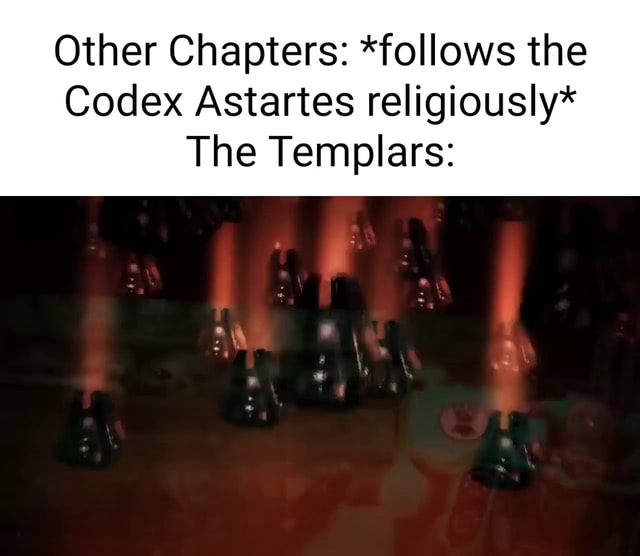 Other Chapters: *follows the Codex Astartes religiously* The Templars ...