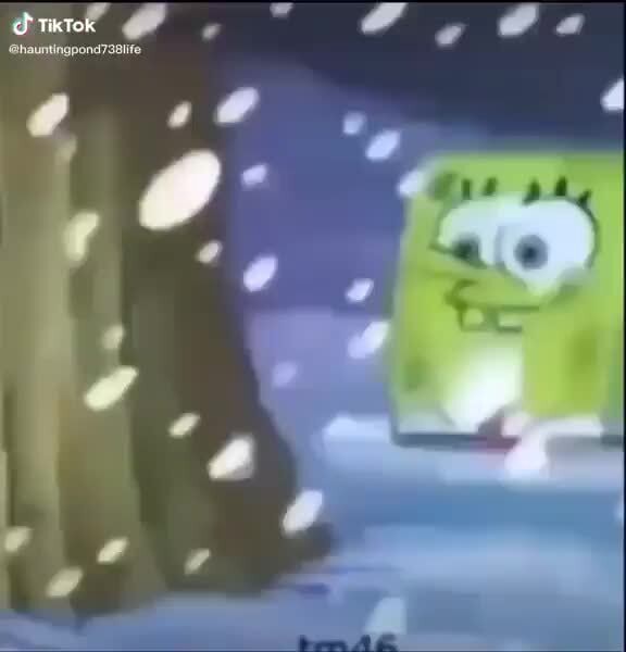Poor spongebob - iFunny