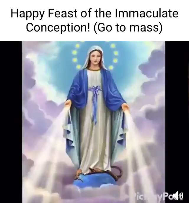 Happy Feast of the Immaculate Conception! (Go to mass) - iFunny