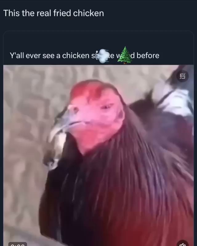 This the real fried chicken Y'all ever see a chicken side wed before ...