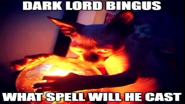 DARK LORD BINGUS WHAT SPELL WILL HE CAST - iFunny