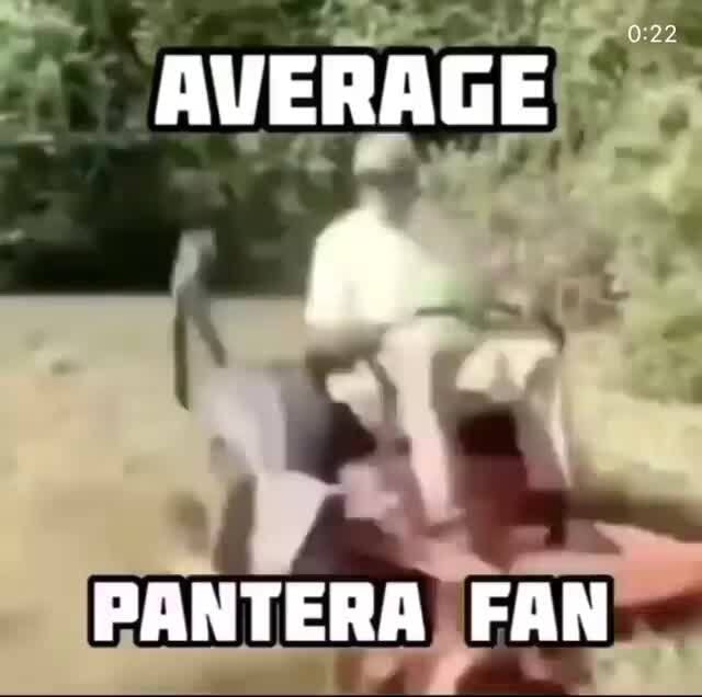 AVERAGE PANTERA FAN - iFunny