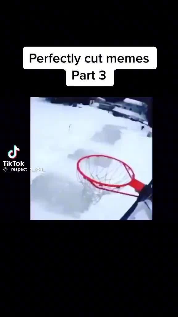 Perfectly cut memes Part 3 TikTok - iFunny