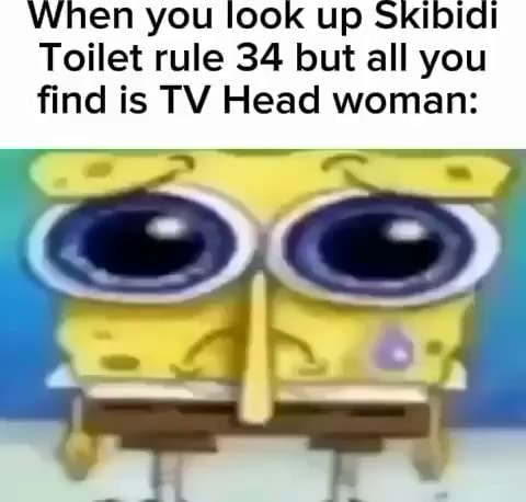 When you look up Skibidi Toilet rule 34 but all you find is TV Head ...