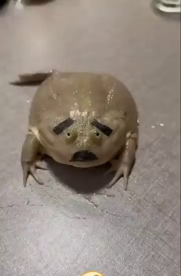 Video memes v4qxRkLCB by VictorCrow: 91 comments - iFunny
