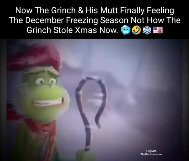 Now The Grinch & His Mutt Finally Feeling The December Freezing Season ...