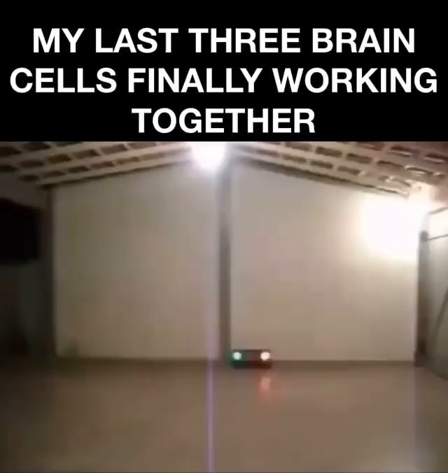 MY LAST THREE BRAIN CELLS FINALLY WORKING TOGETHER - iFunny