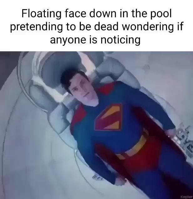 Floating face down in the pool pretending to be dead wondering if ...