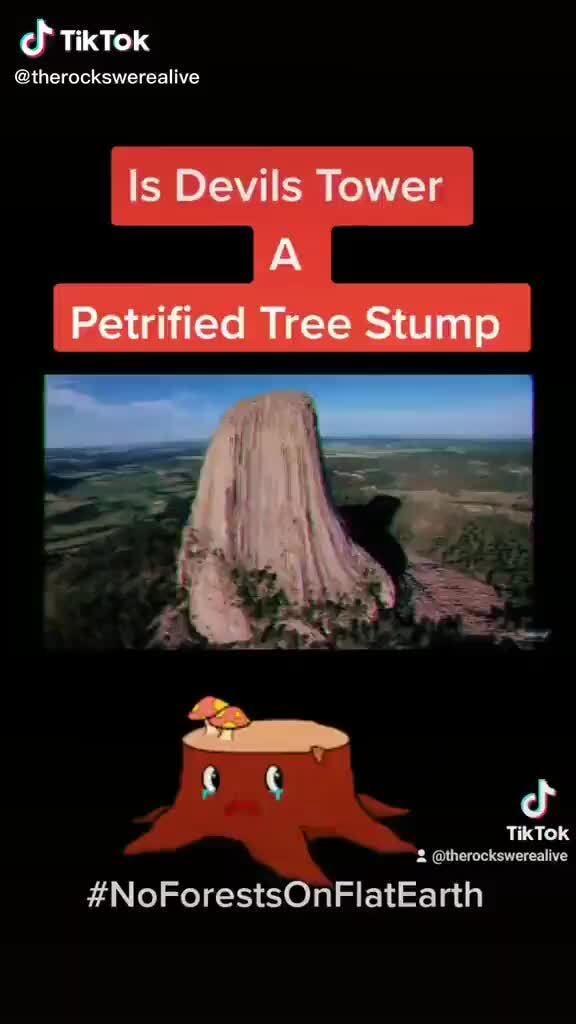 TikTok @therockswerealive ls Devils Tower Petrified Tree Stump TikTok ...