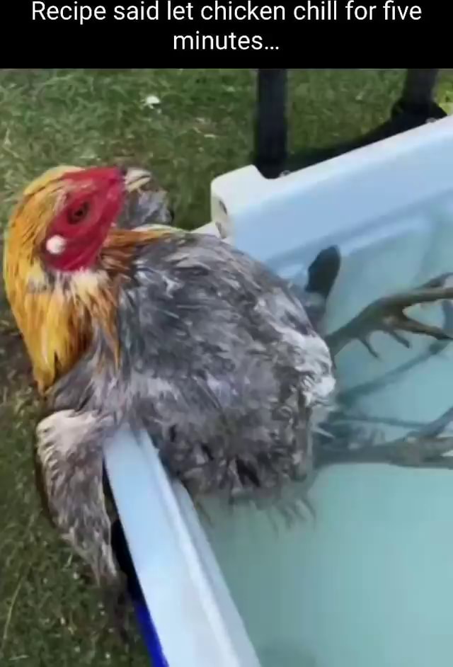 Recipe said let chicken chill for five minutes... - iFunny