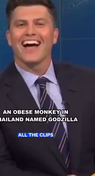 AN OBESE MONKEY IN NAMED GODZILLA ALL THE CLIPS - iFunny