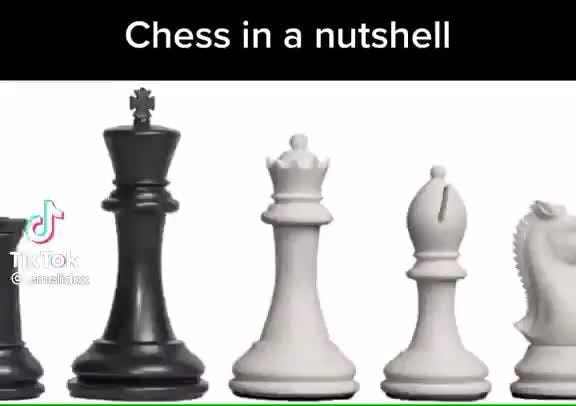 Chess in a nutshell - iFunny