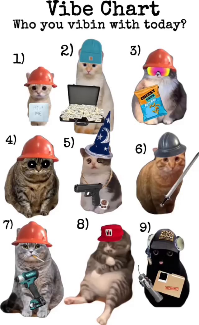 Vibe Chart Who you vibin with today? 2) ff ff - iFunny