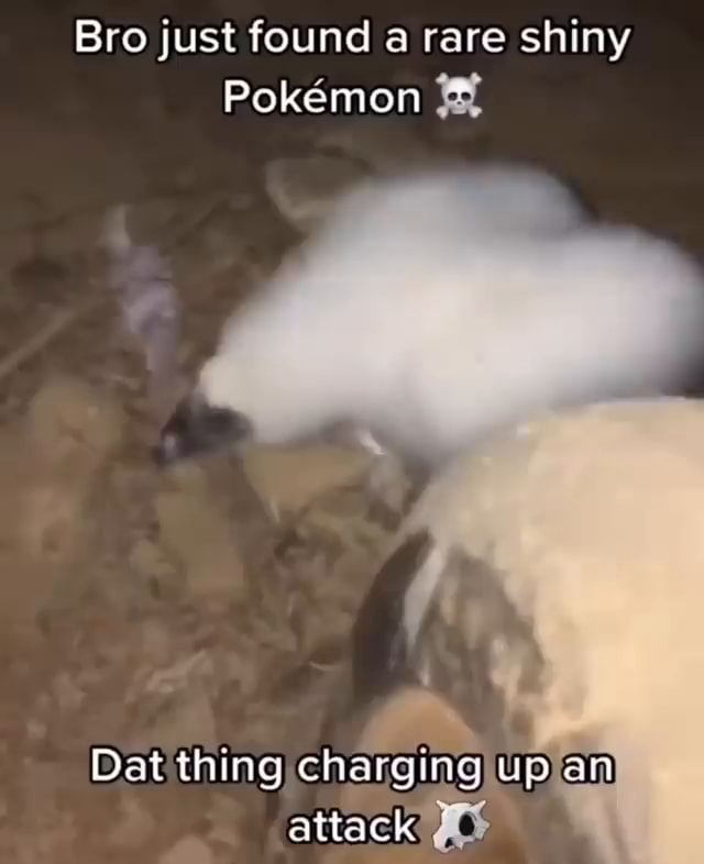Bro just found a rare shiny Pokemon Dat thing charging up an attack ...
