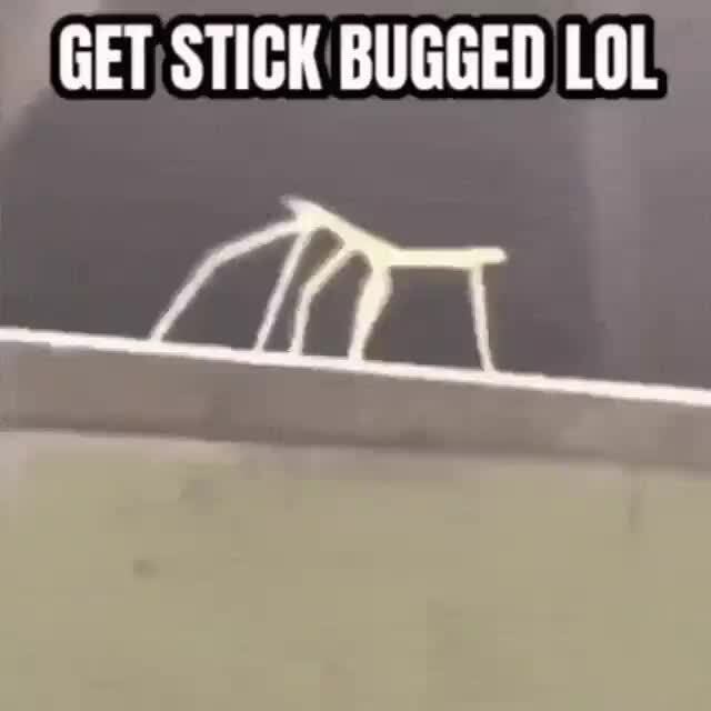 GET STICK BUGGED LOL - iFunny