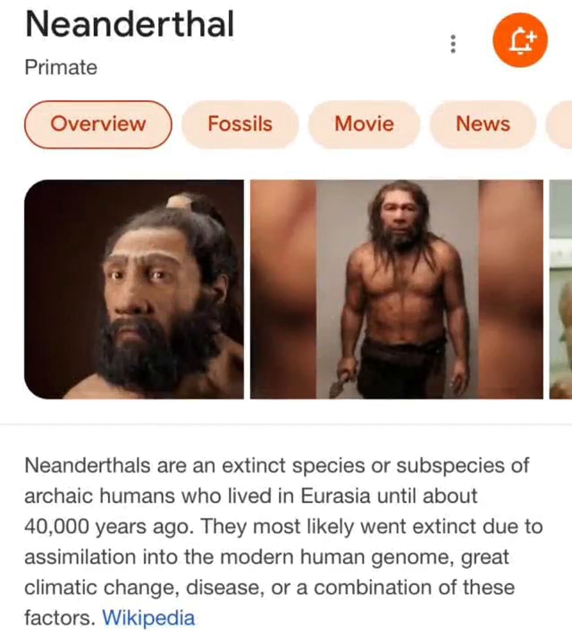 Neanderthal Primate Fossils Movie News Neanderthals are an extinct species or subspecies of ...