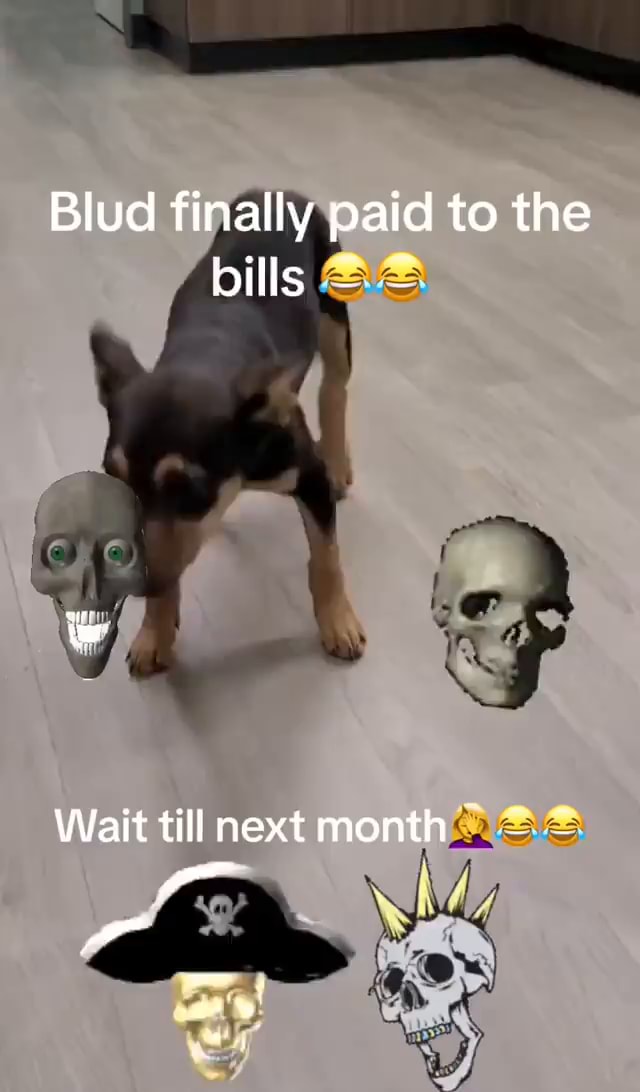 Blud finally paid to the bills Wait tillnext month - iFunny