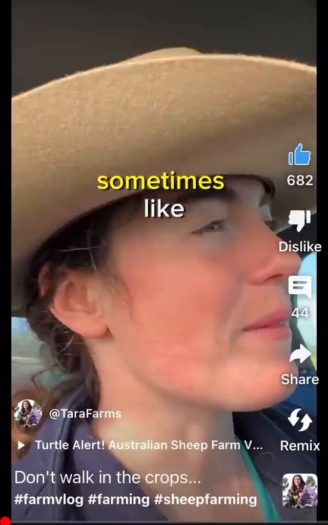 Sometimes 682 like Dislike Share > Turtle Alert! Australian Sheep Farm ...